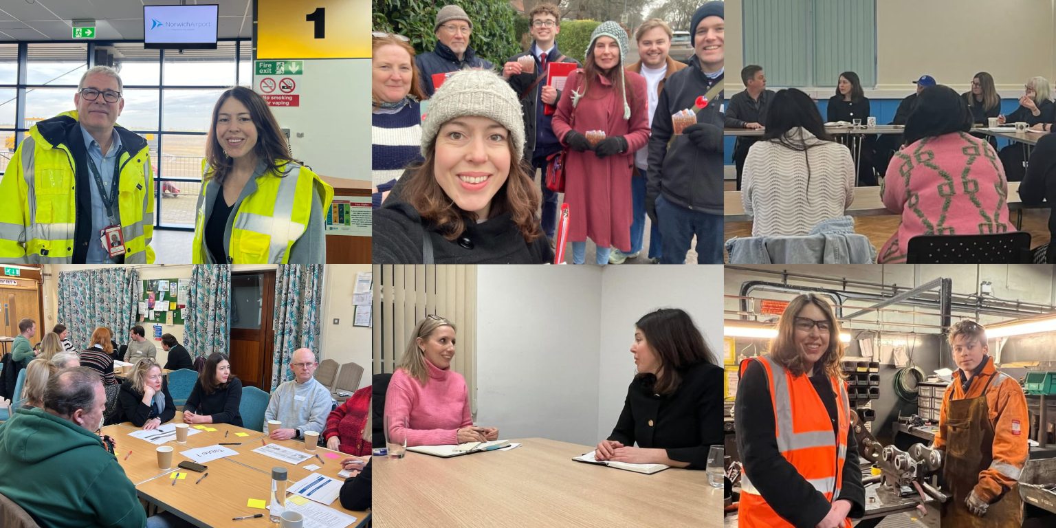 Alice Macdonald for Norwich North