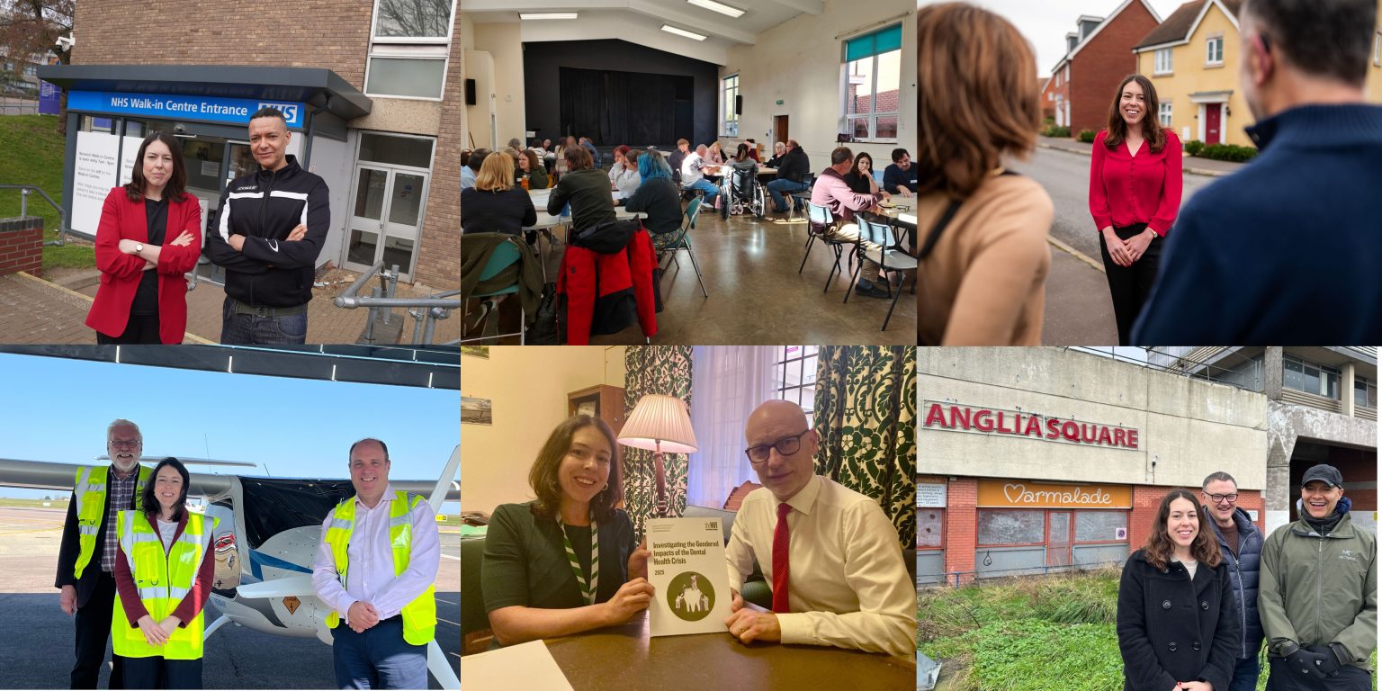 Alice Macdonald for Norwich North